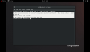 Run GUI Application Inside Docker Container