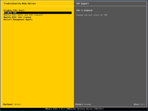 How to Enable ESXi Shell and SSH Using DCUI (Direct Console User Interface)? - CloudThat Resources