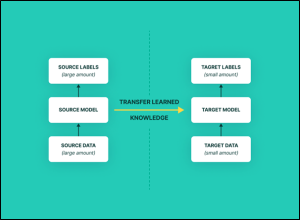 Harnessing the Power of Transfer Learning in Machine Learning