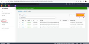 Configuring The Usage Plan in AWS API Gateway - CloudThat Resources